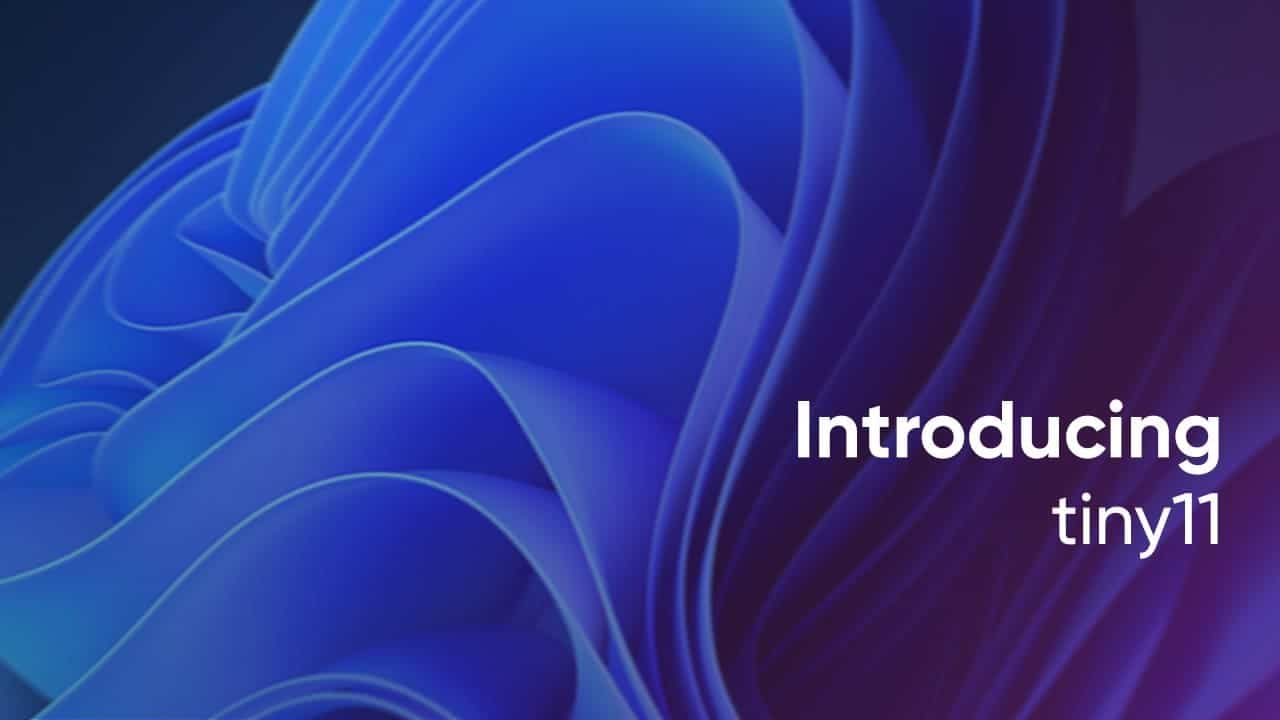 Tiny11 22H2: How to Download & Install (Windows 11 Lite)